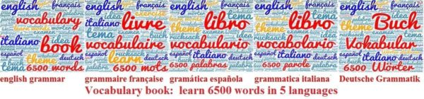 First Conditional: if + present, ... + will